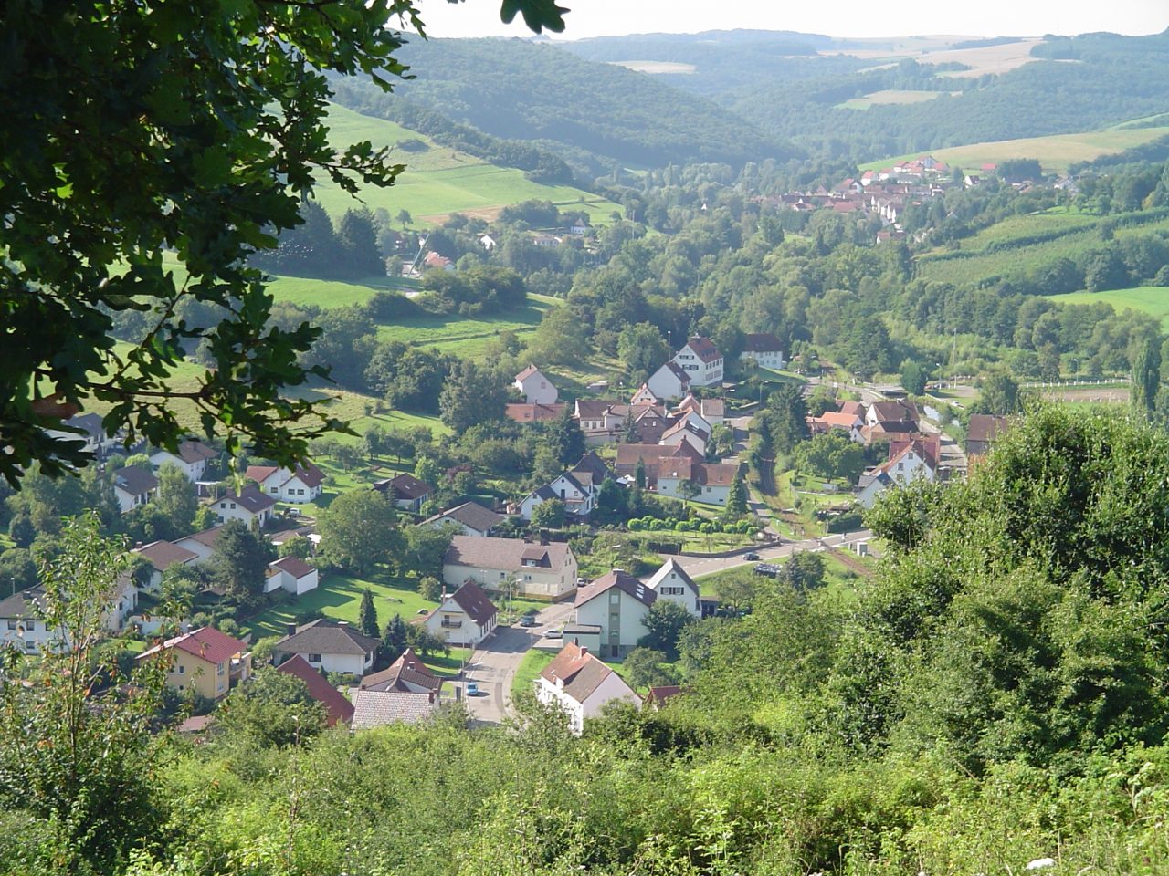 Die Satzung - FWG Stadt Wolfstein